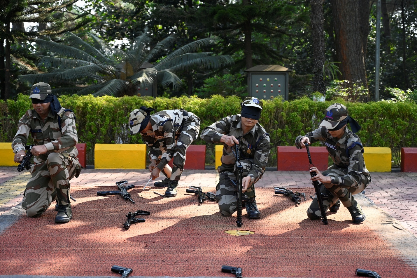 NESAC celebrates 77th Republic Day of the Nation – NESAC